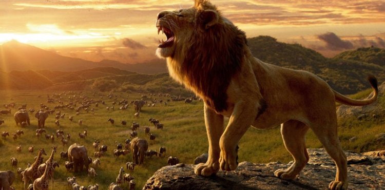 El rey león 2019: viaje nostálgico hacia la magia de un clásico - Cinéfilos